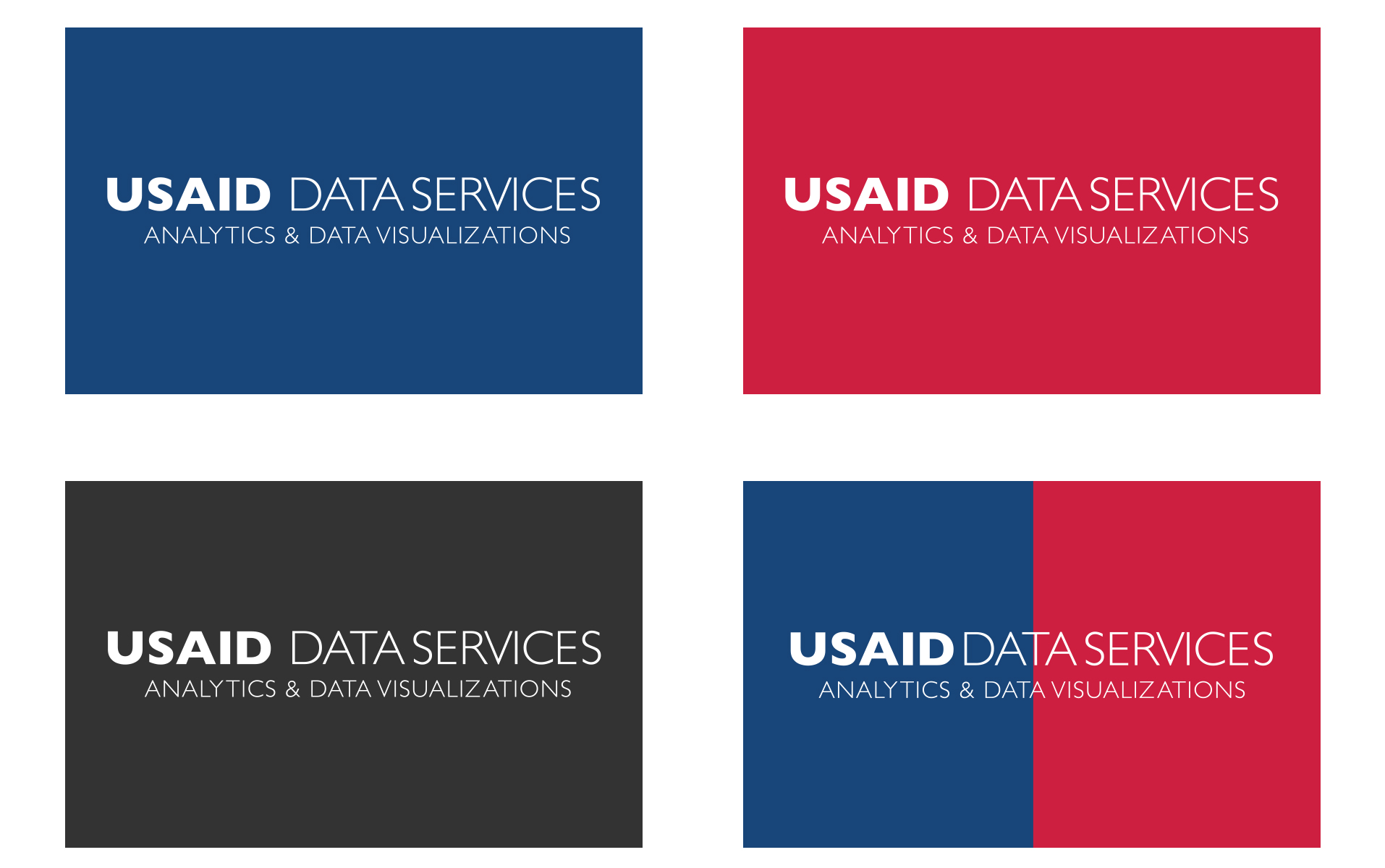 USAID Data Services - Rahul Gautam